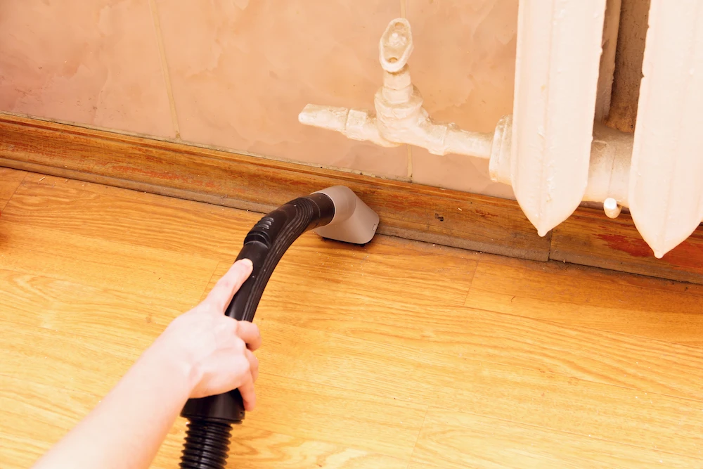 Spiders Love Hiding in These 10 Household Spots